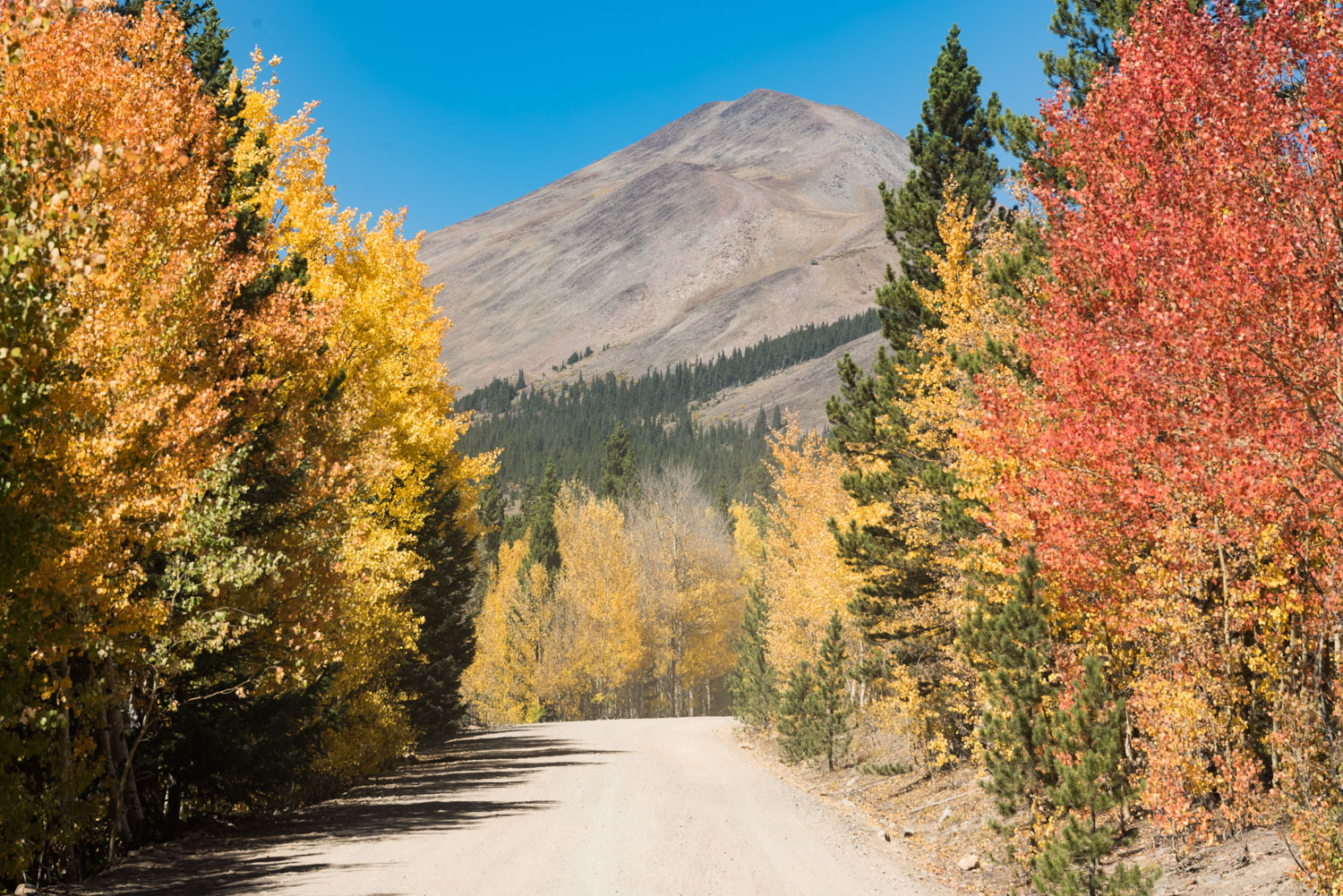Easy Day Trips from Denver for Fall Foliage | Small Town Stops
