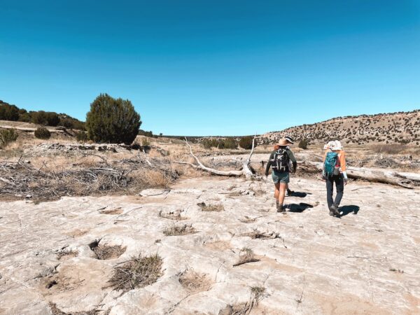 The Ultimate Travel Guide for Exploring the Colorado Eastern Plains ...