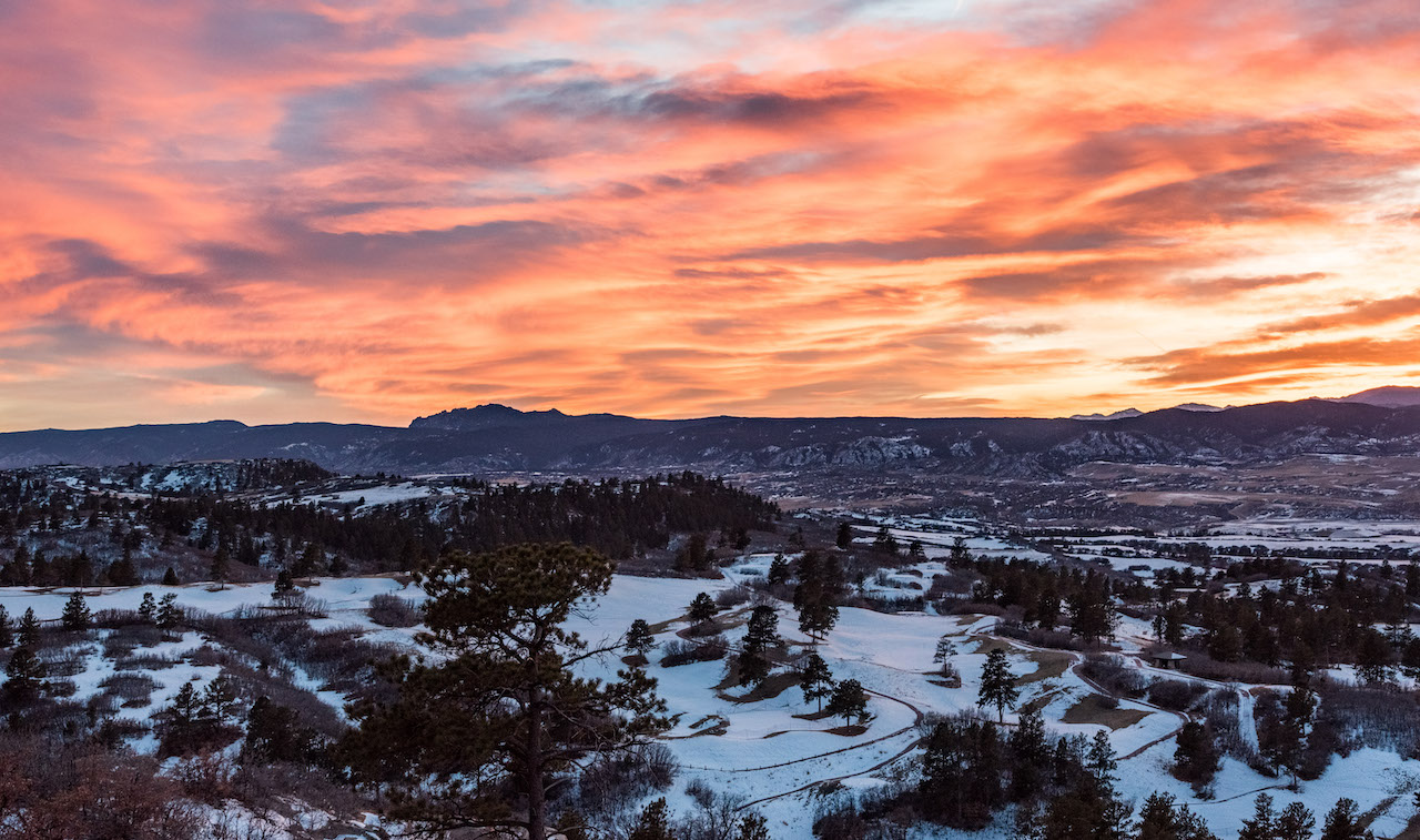 5 Places to See Bison in Colorado - Small Town Stops