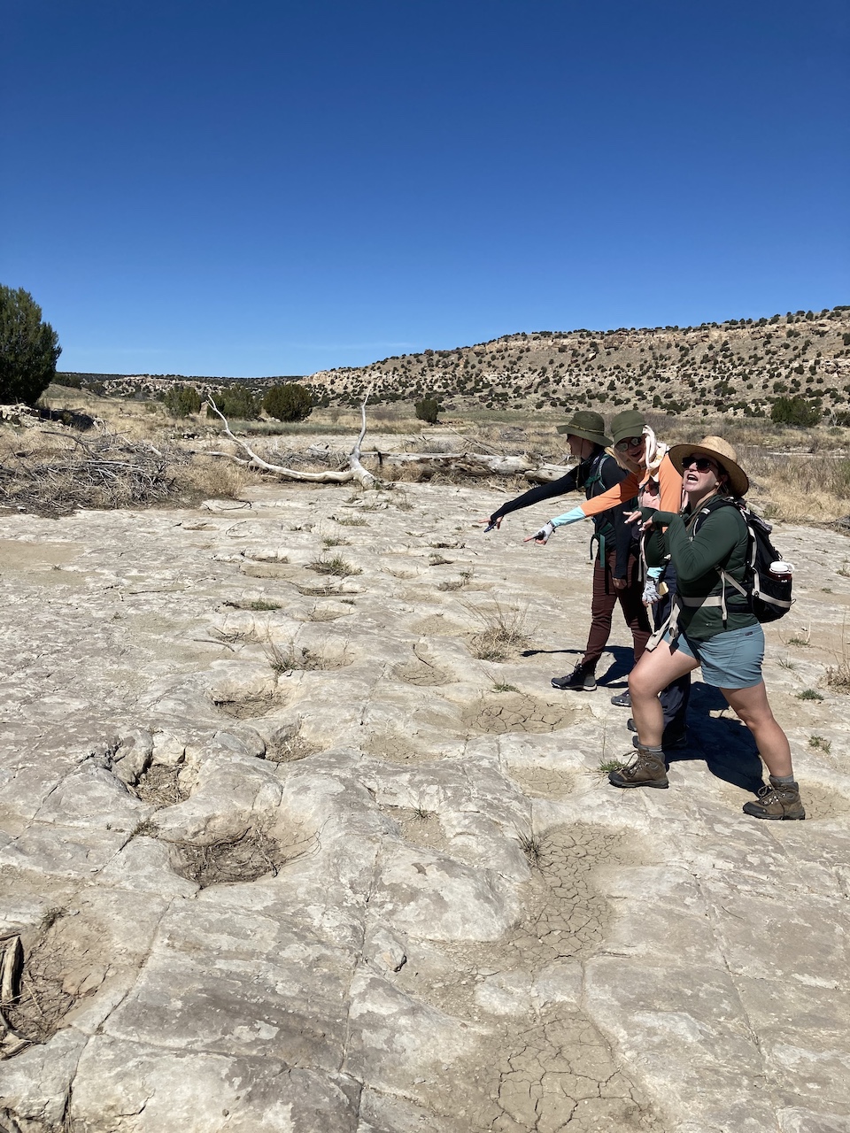 Your Guide to Canyon Tours of Colorado’s Eastern Plains - Small Town Stops