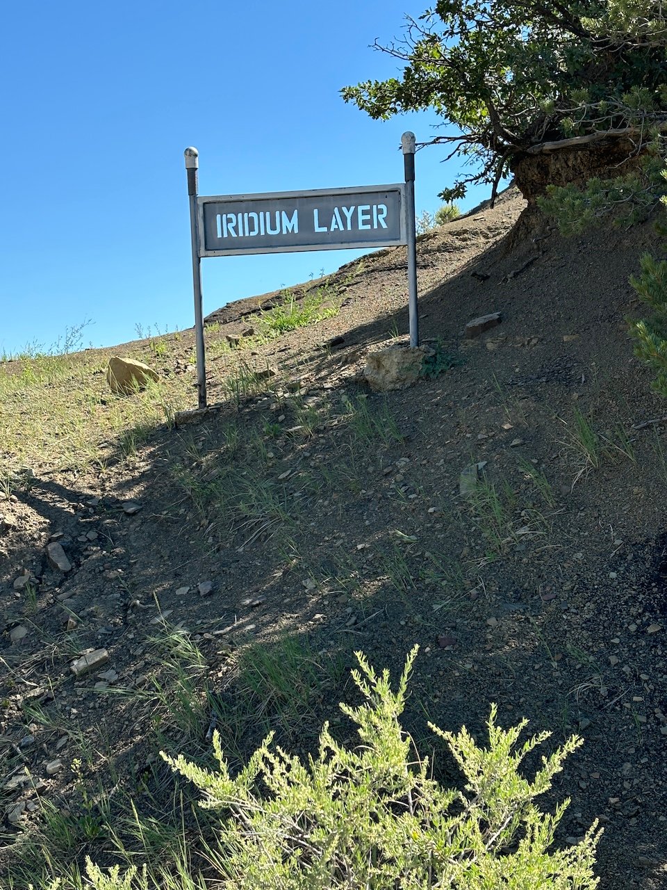 Your Gateway to Adventure: Things to Do in Raton New Mexico
