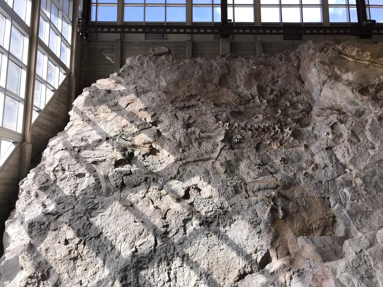 Your Guide to the Top Attractions in Vernal, Utah