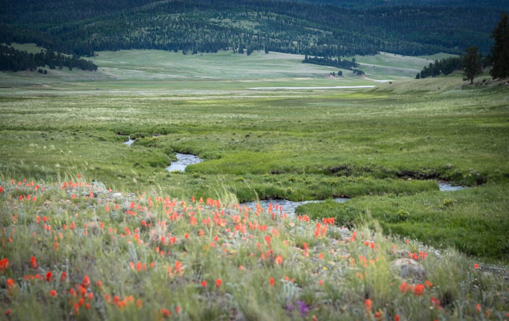 A Ted Turner Ranch is Northern New Mexico's Hidden Gem - Small Town Stops