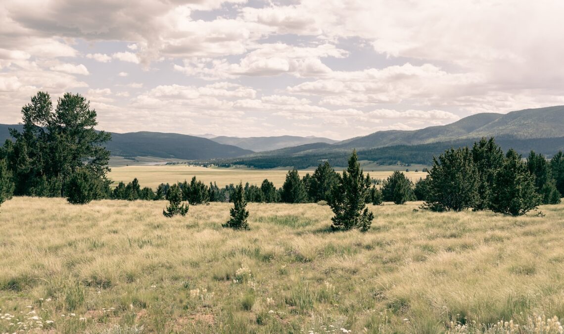 A Ted Turner Ranch is Northern New Mexico's Hidden Gem - Small Town Stops