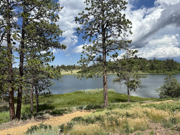 A Ted Turner Ranch is Northern New Mexico's Hidden Gem - Small Town Stops
