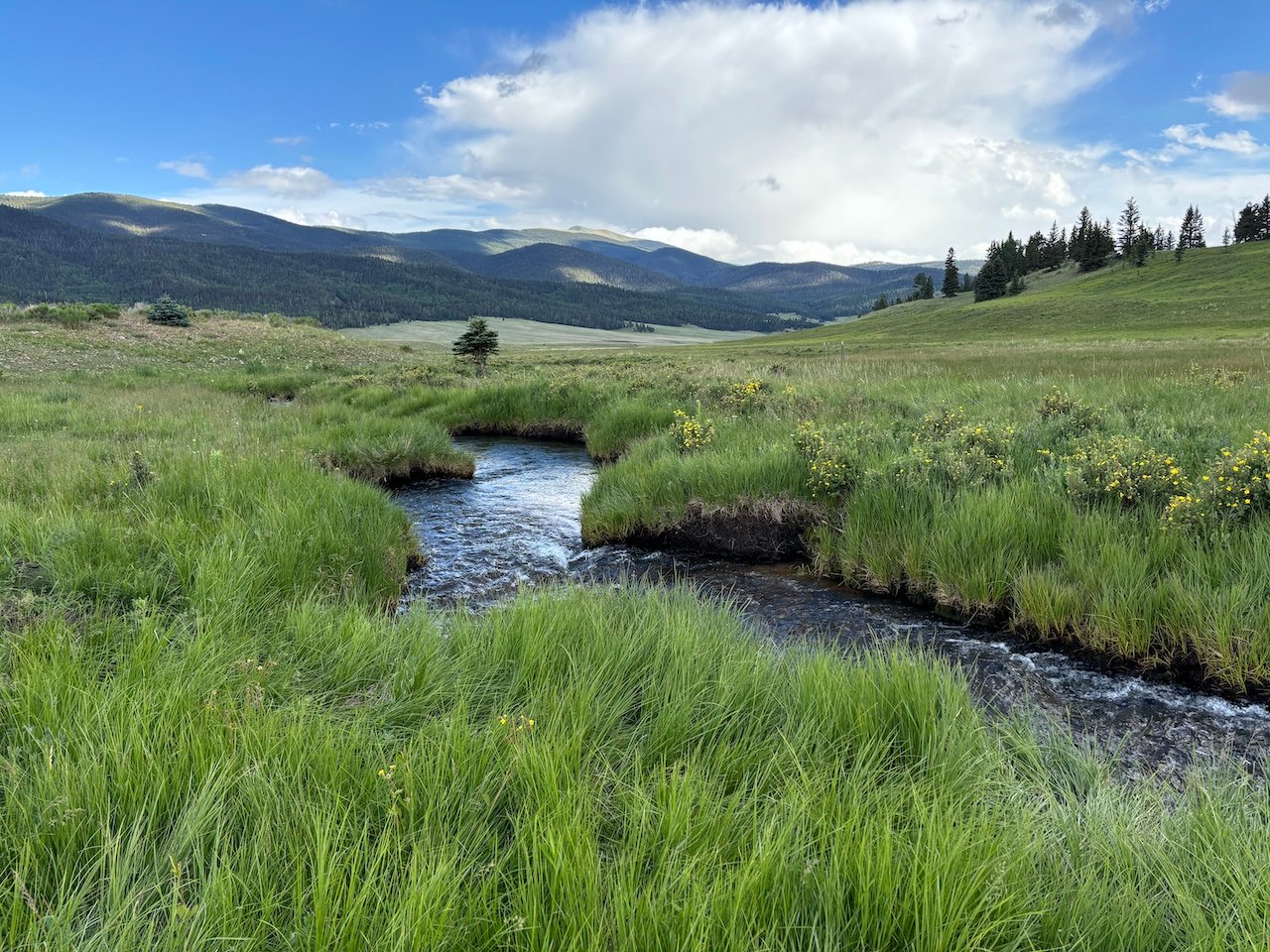 A Ted Turner Ranch is Northern New Mexico’s Hidden Gem