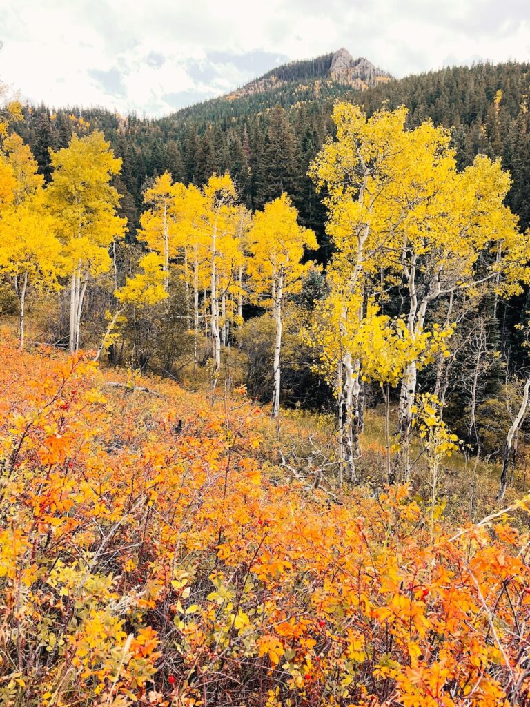 Where to See Colorado Fall Colors - Small Town Stops